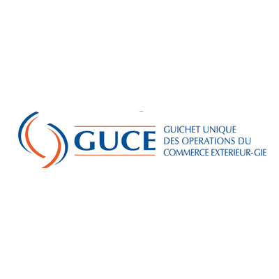 Guichet Unique | Direction Générale des Impôts (DGI)